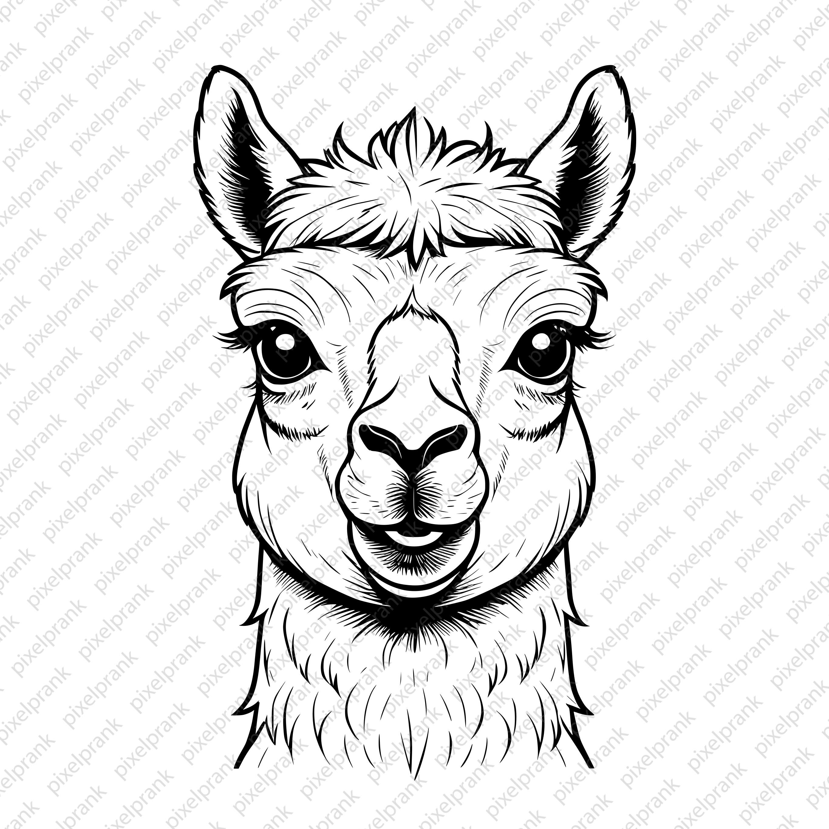 Lama SVG Bundle Vol.2 - 25 Clipart Designs for Laser Cutters, Plotters ...