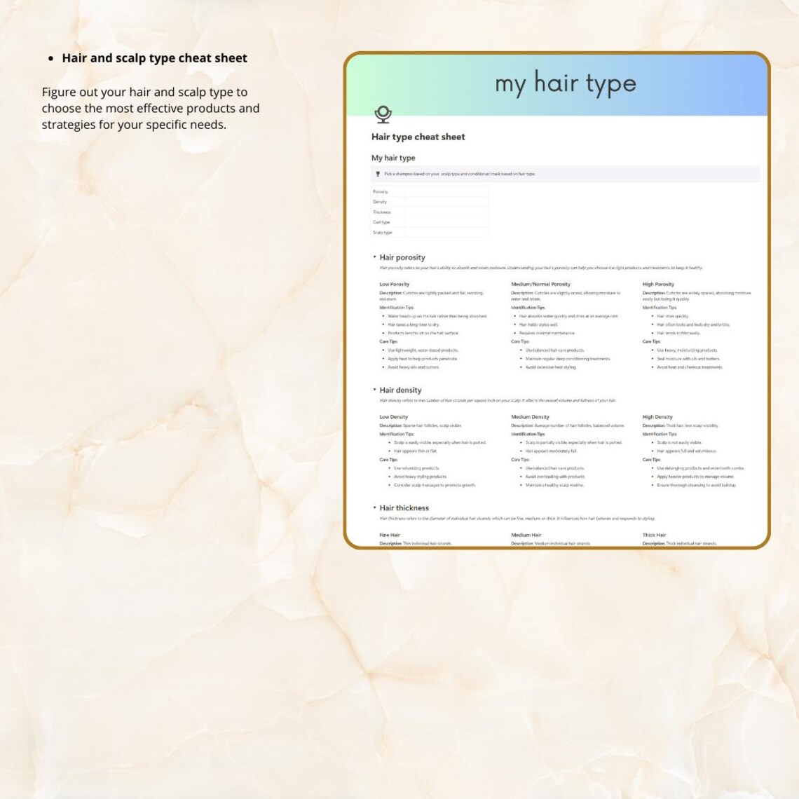Notion Template Hair Care Tracker | Hair Styles Library | Hair Products ...