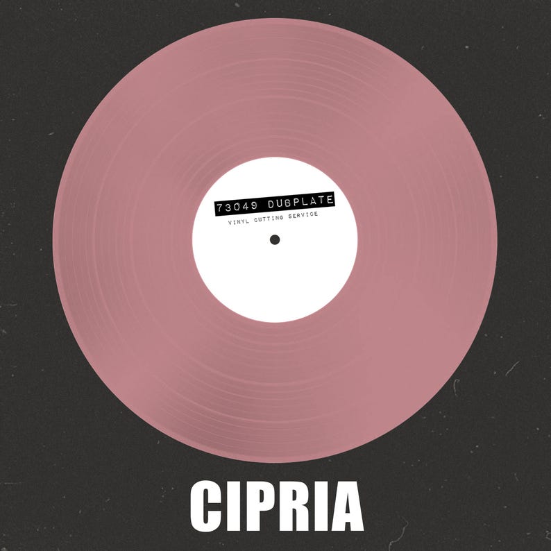 12 COLORED Vinyl Record Personalized With Songs and Personalized ...