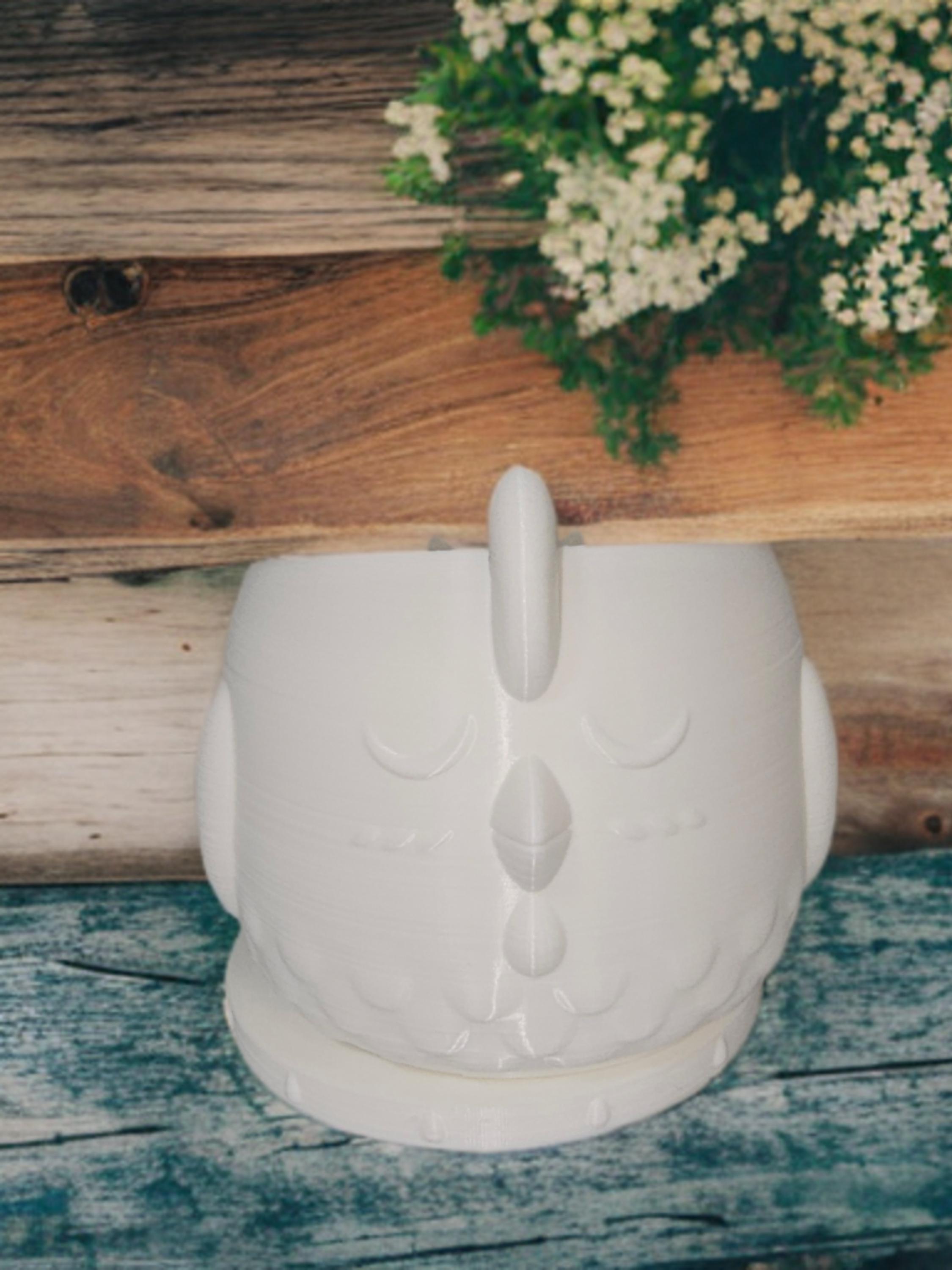 Charming 3D Printed Chicken Planter Cute Hen Succulent Pot Farmhouse ...