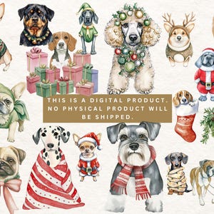 Watercolor Christmas Dogs Clipart Dog Breeds PNG Bundle Christmas Dogs ...