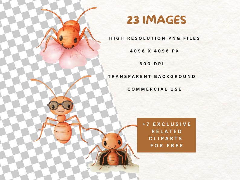 Ant Clipart Bundle Whimsical Insect Art Digital Download PNG Commercial ...