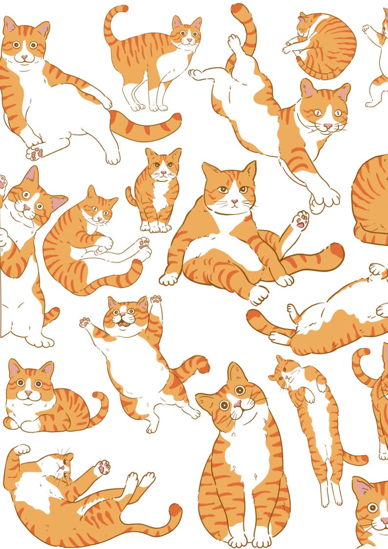 Orange Cat Activities | Printable Cat Wall Art for Cat Lovers - Etsy