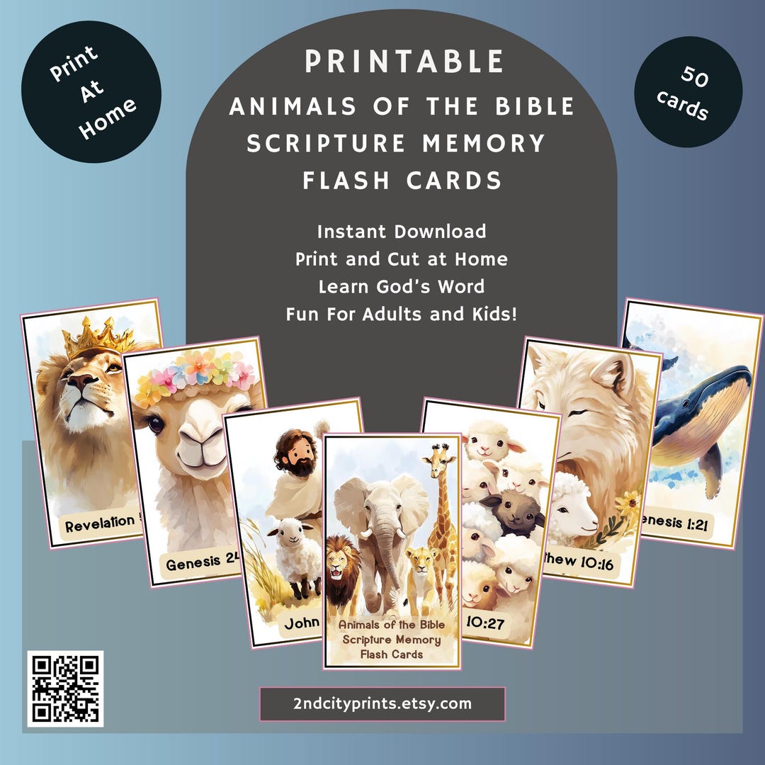 BIBLE VERSE MEMORY Flash Cards, Animals of the Bible (beyond Noah's Ark ...