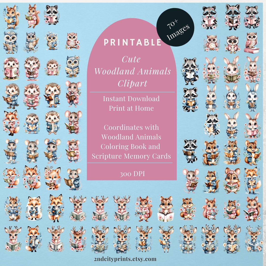 CLIPART Cute Woodland Animals 70+ Coordinates W/ Coloring Book and ...