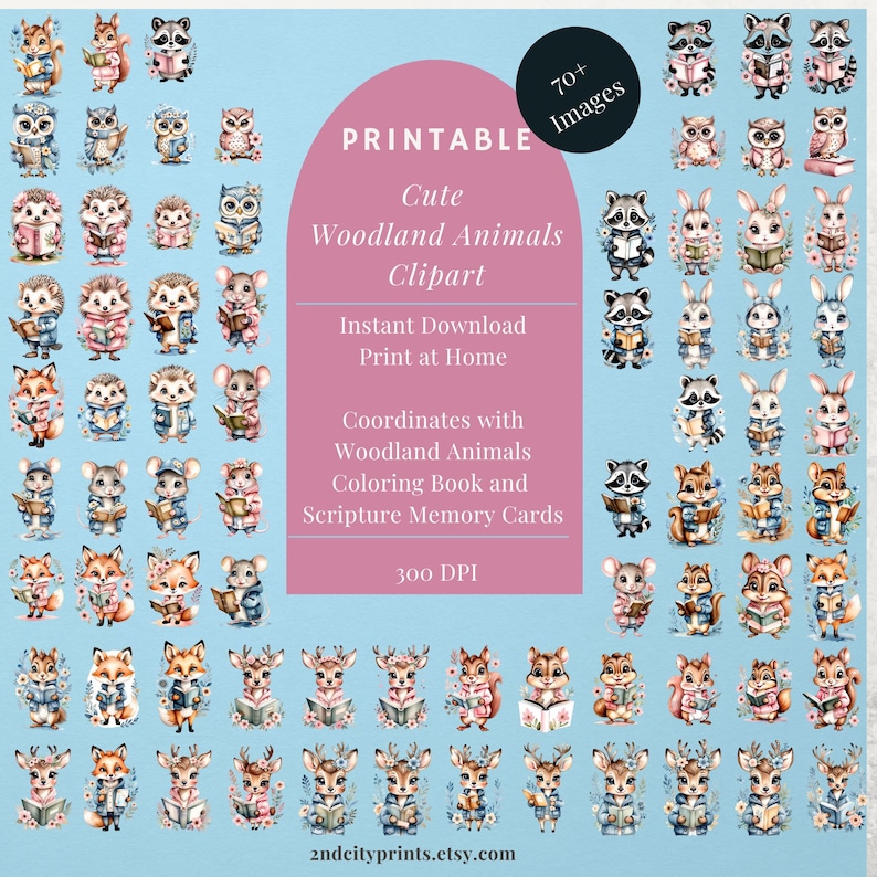 CLIPART Cute Woodland Animals 70+ Coordinates W/ Coloring Book and ...