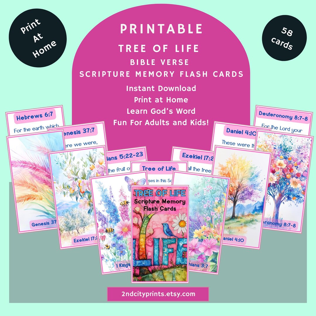 BIBLE VERSE MEMORY Flash Cards, Tree of Life (from Genesis to ...