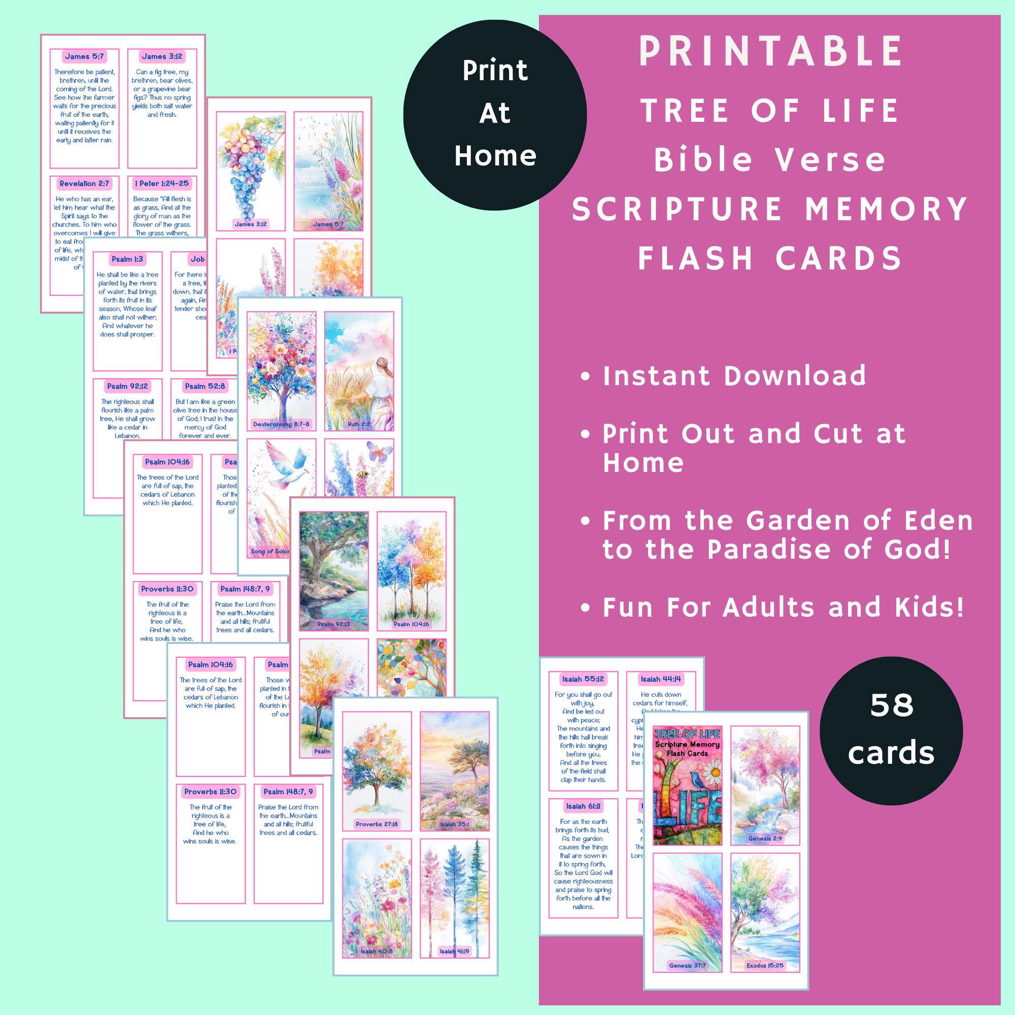 BIBLE VERSE MEMORY Flash Cards, Tree of Life (from Genesis to ...