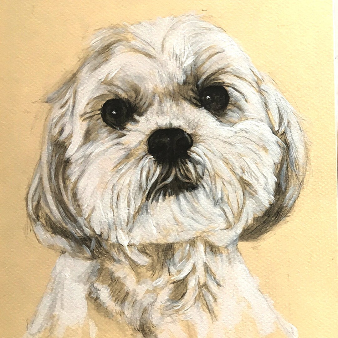 DOG POTRAITS, CUSTOM Dog Drawings, Hand Drawn and Painted Samples - Etsy