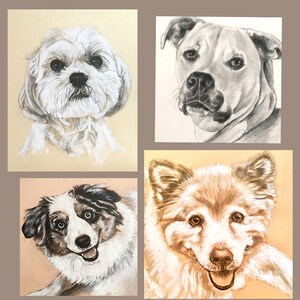DOG POTRAITS, CUSTOM Dog Drawings, Hand Drawn and Painted Samples - Etsy
