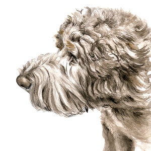 DOG POTRAITS, CUSTOM Dog Drawings, Hand Drawn and Painted Samples - Etsy