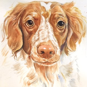 DOG POTRAITS, CUSTOM Dog Drawings, Hand Drawn and Painted Samples - Etsy