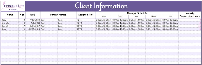 BCBA Caseload/hours Tracker | Google Sheets Template for Client ...