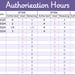 BCBA Caseload/hours Tracker | Google Sheets Template for Client ...