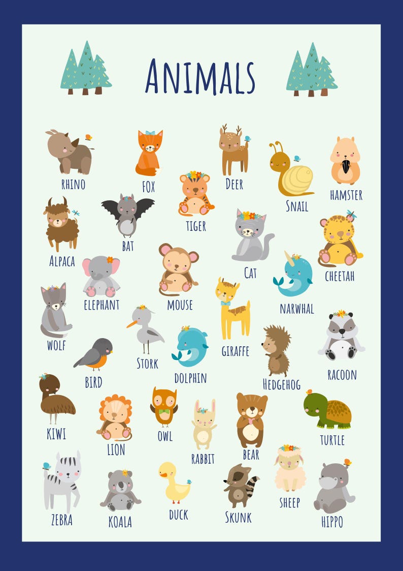Animal Poster - Etsy