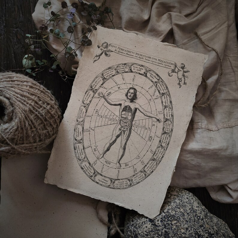 The Arcane Body | Dark Academia Hanging Scroll, Old Illustration Print ...