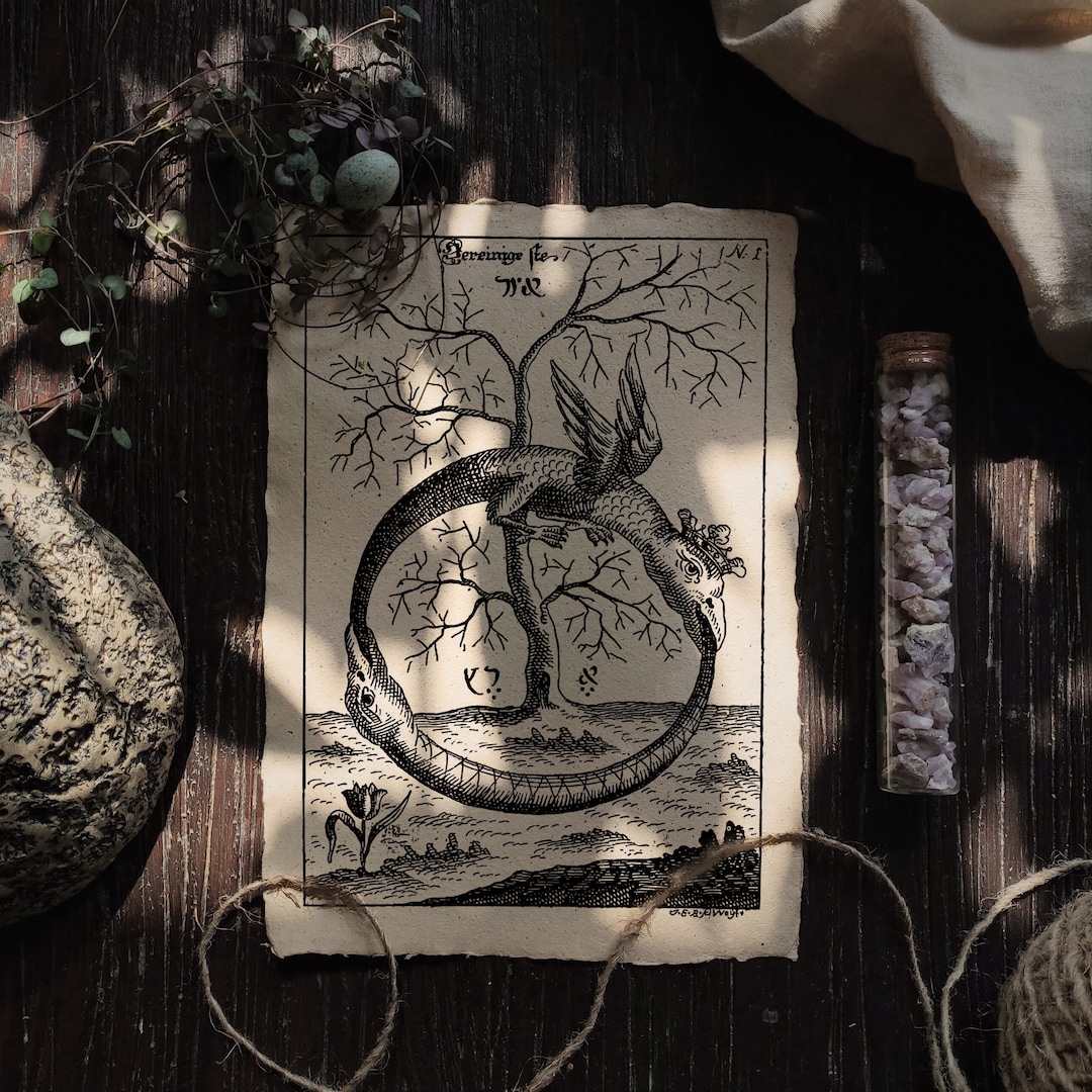 Ouroboros | Alchemy Wall Art, Vintage Book Illustration, Mystical Art ...