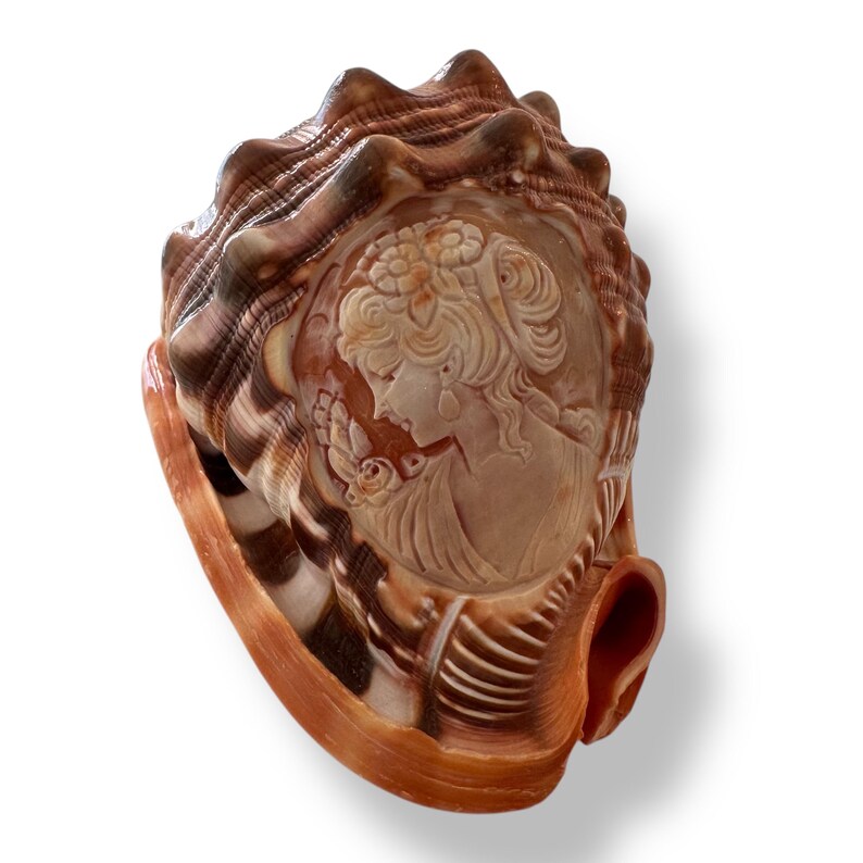 Vintage Italy Hand Carved Cameo Sea Shell Conch • Original Sticker ...