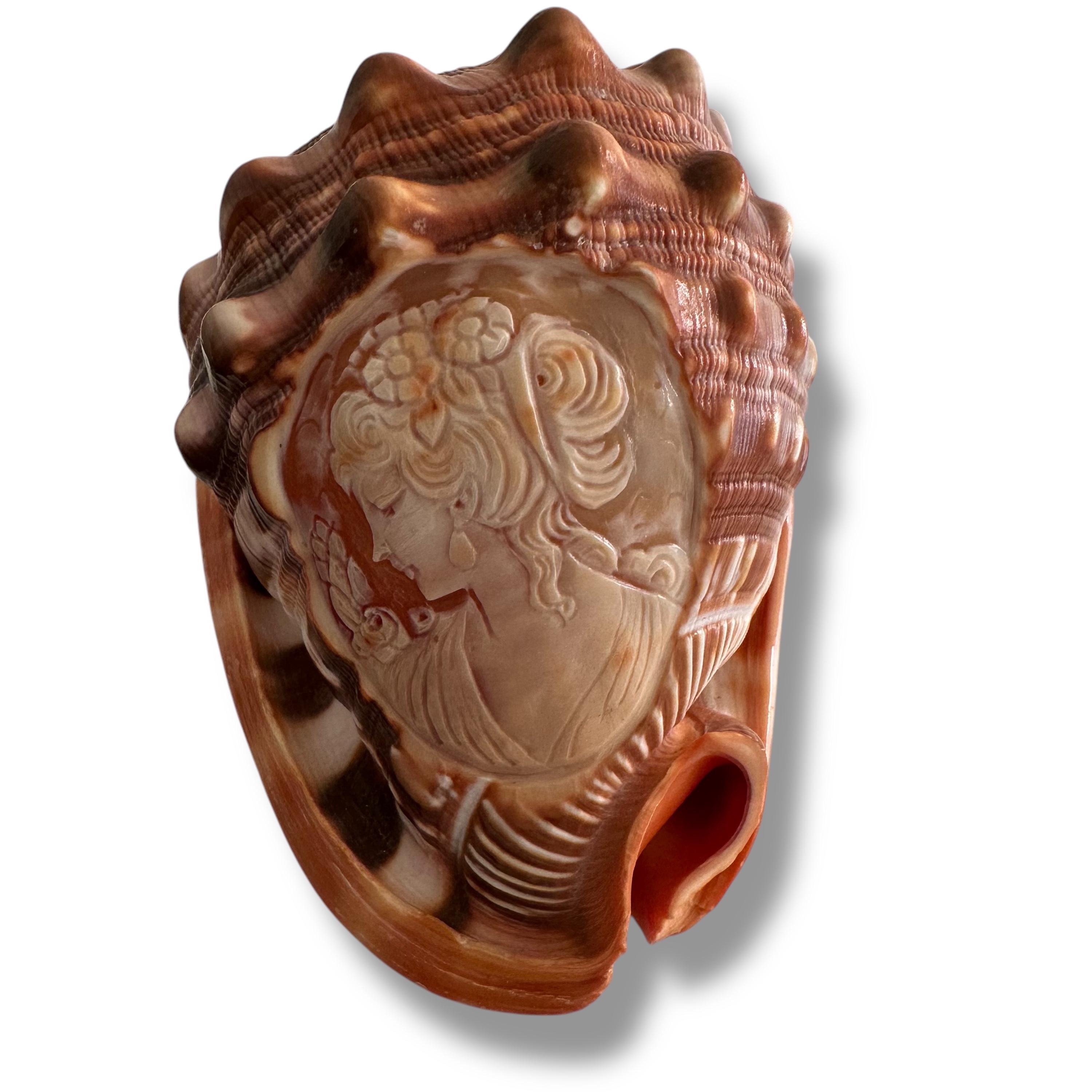Vintage Italy Hand Carved Cameo Sea Shell Conch • Original Sticker ...