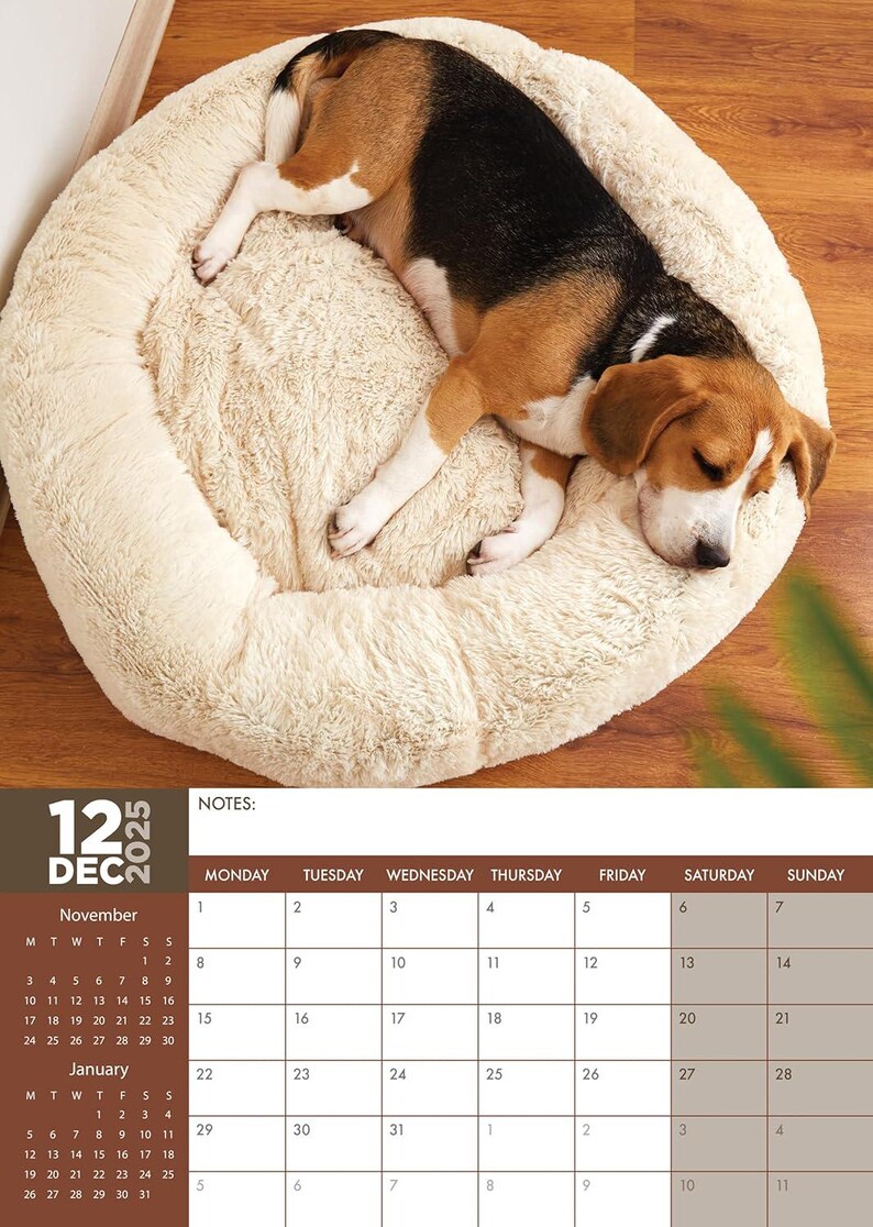 Beagle 2025 Calendar - Etsy