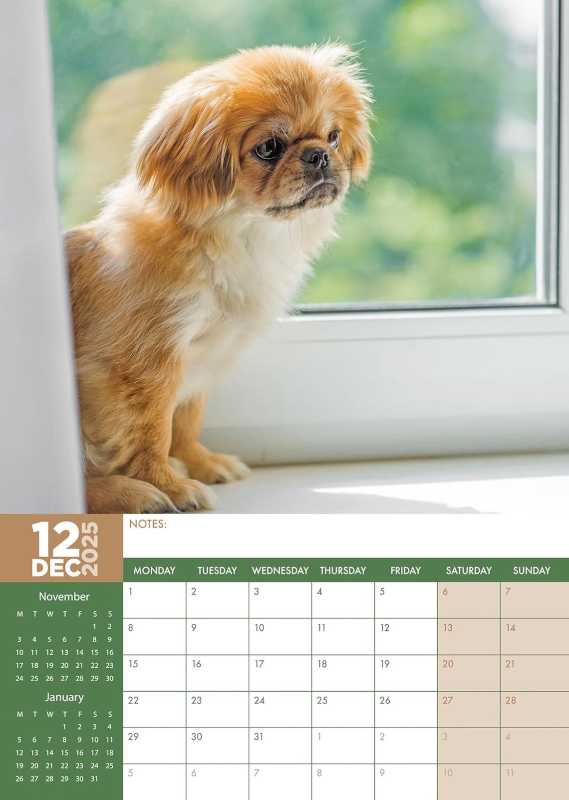 Pekingese 2025 Calendar - Etsy