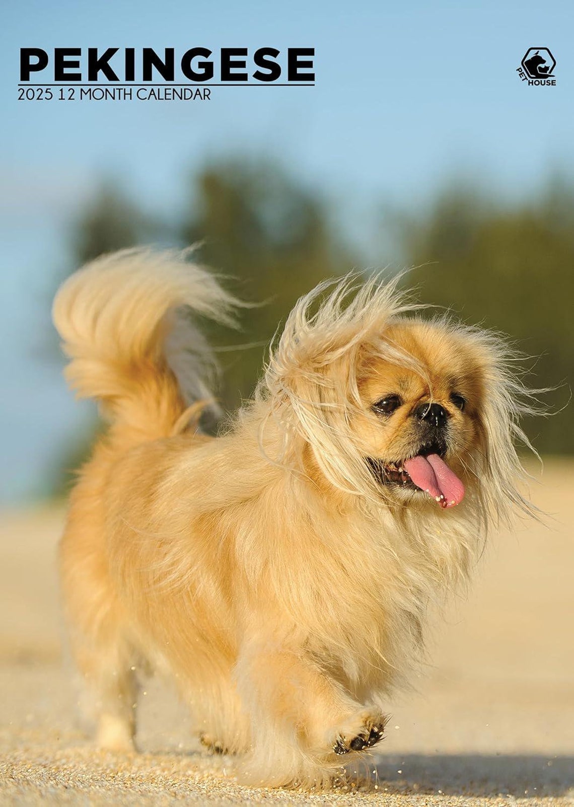 Pekingese 2025 Calendar - Etsy