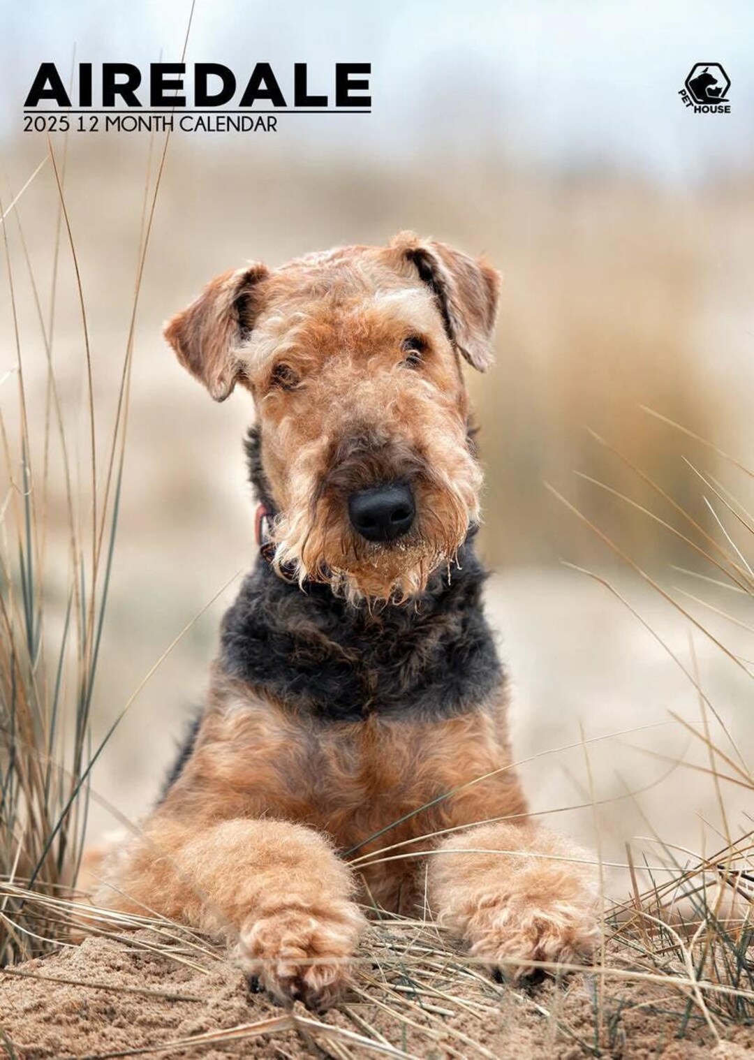 Airedale 2025 Wall Calendar - Etsy