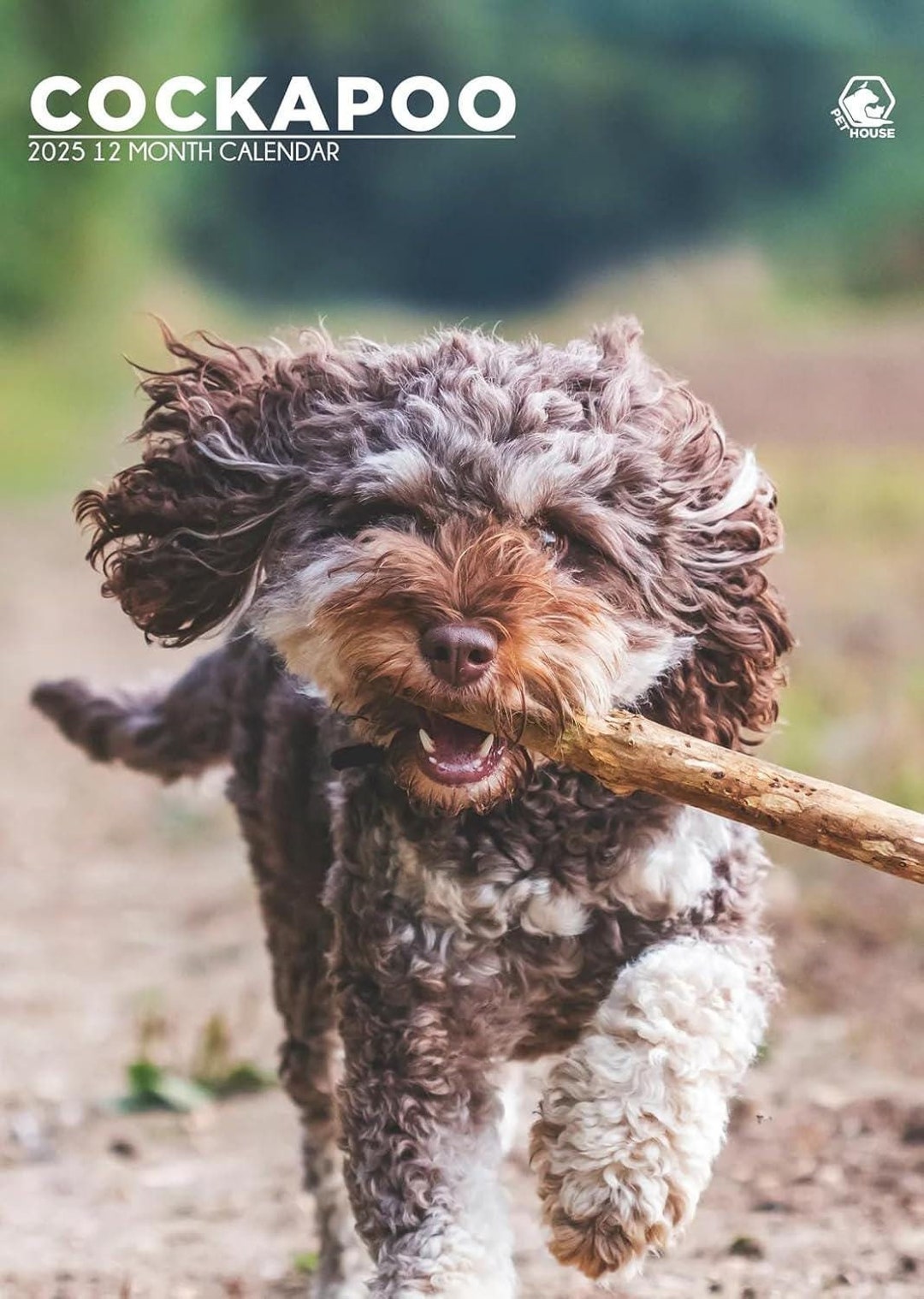 Cockapoo 2025 Calendar - Etsy