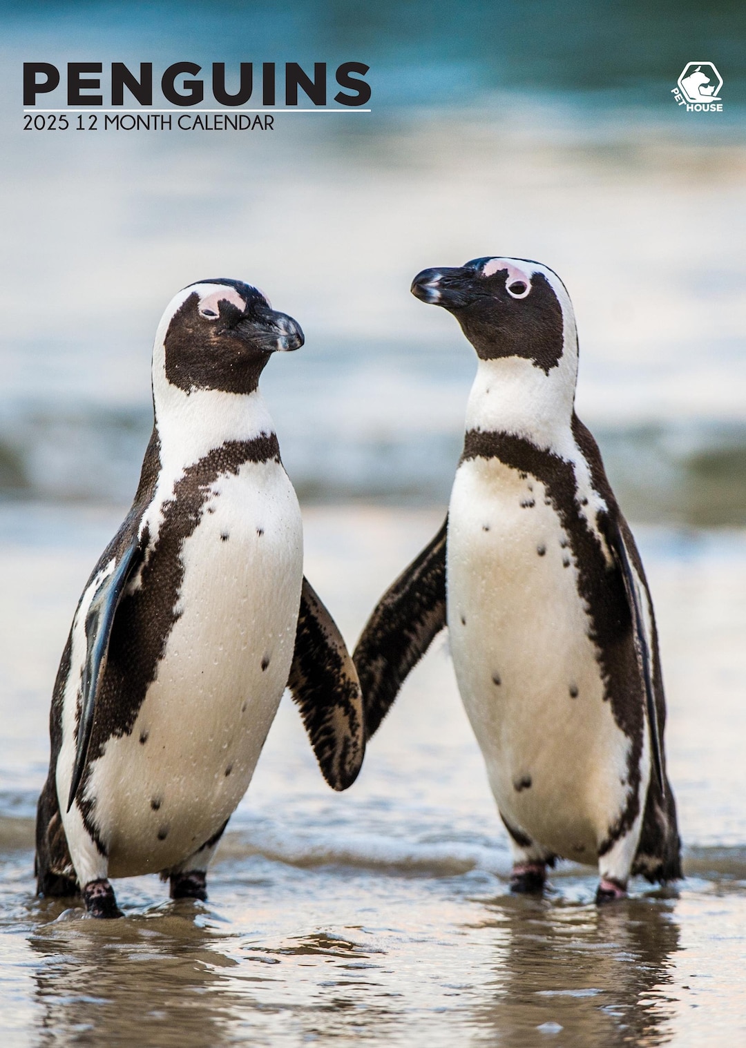 Penguins 2025 Calendar - Etsy