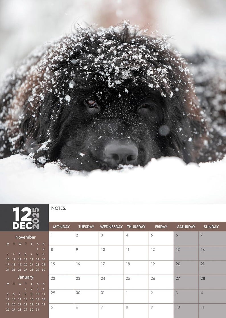 Newfoundland 2025 Calendar - Etsy