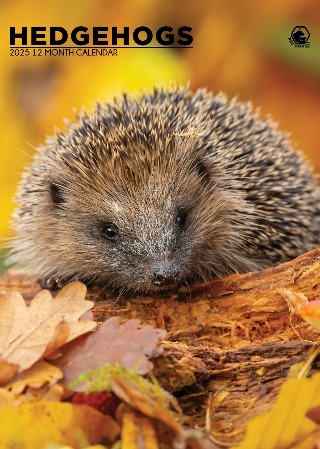 Hedgehogs 2025 Wall Calendar - Etsy