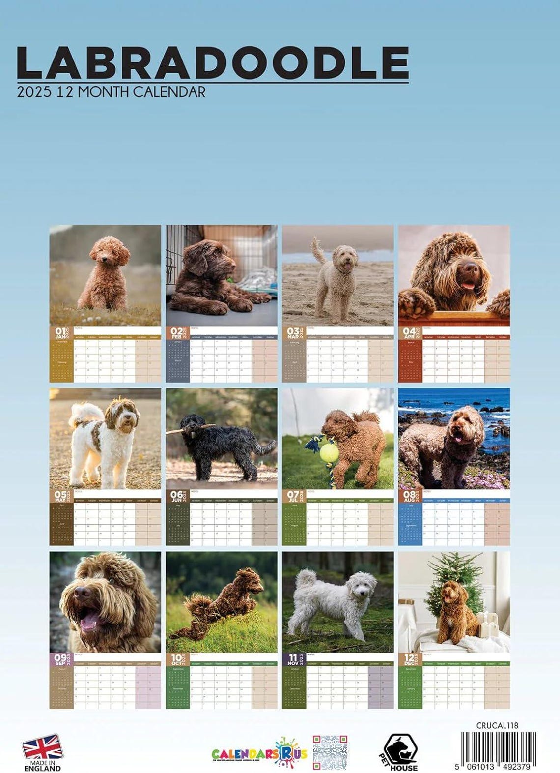 Labradoodle 2025 Calendar - Etsy