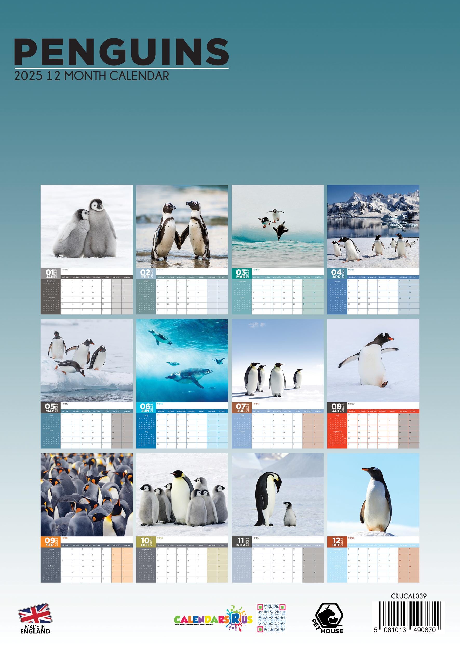Penguins 2025 Calendar - Etsy