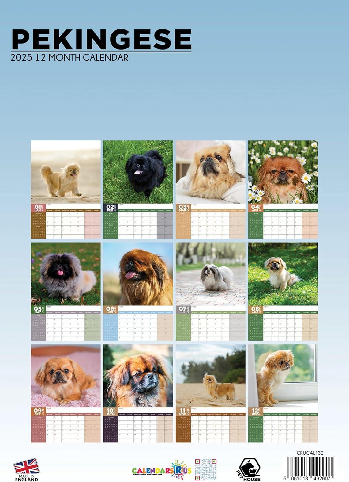 Pekingese 2025 Calendar - Etsy
