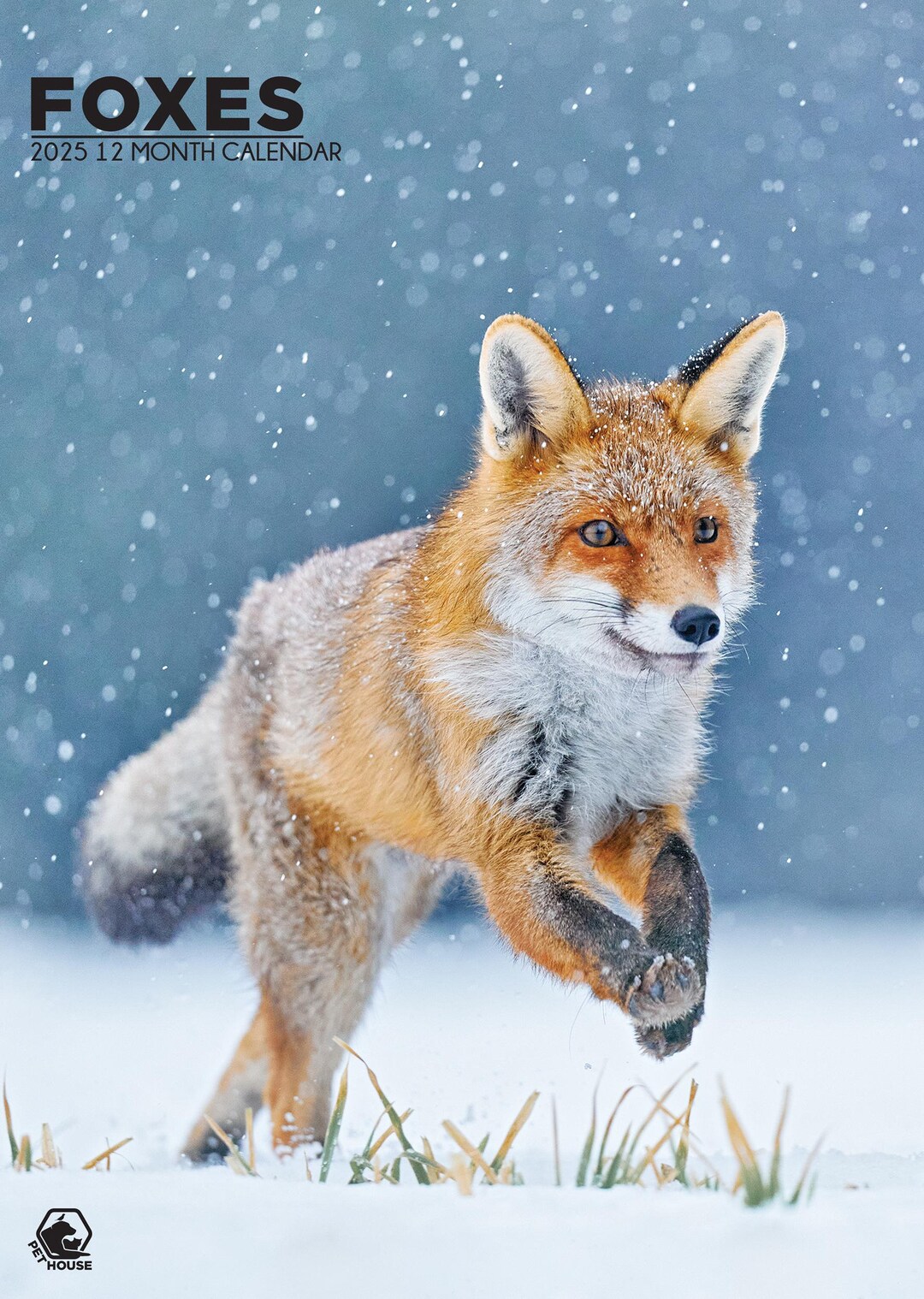 Foxes 2025 Calendar - Etsy Australia