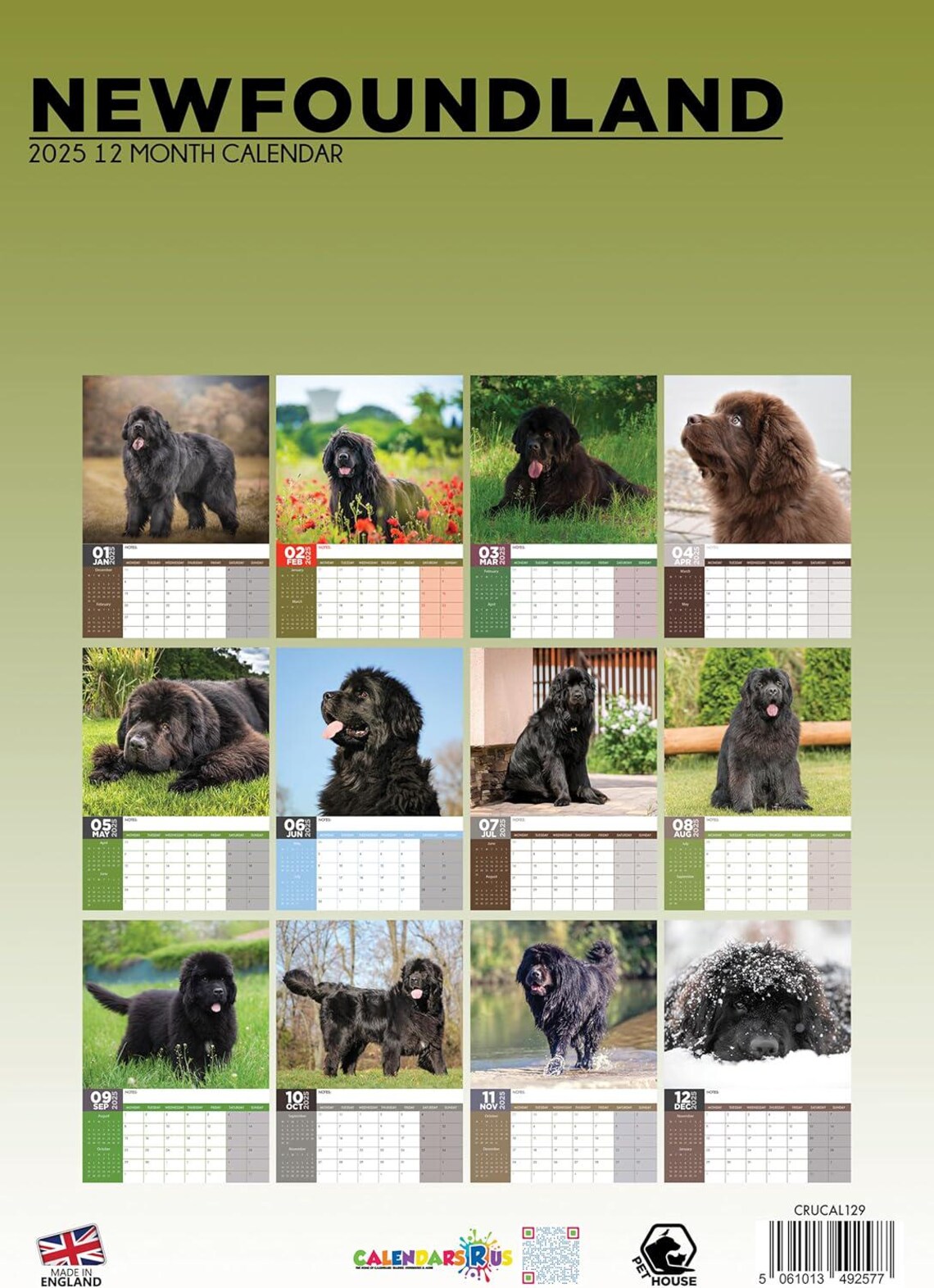 Newfoundland 2025 Calendar - Etsy