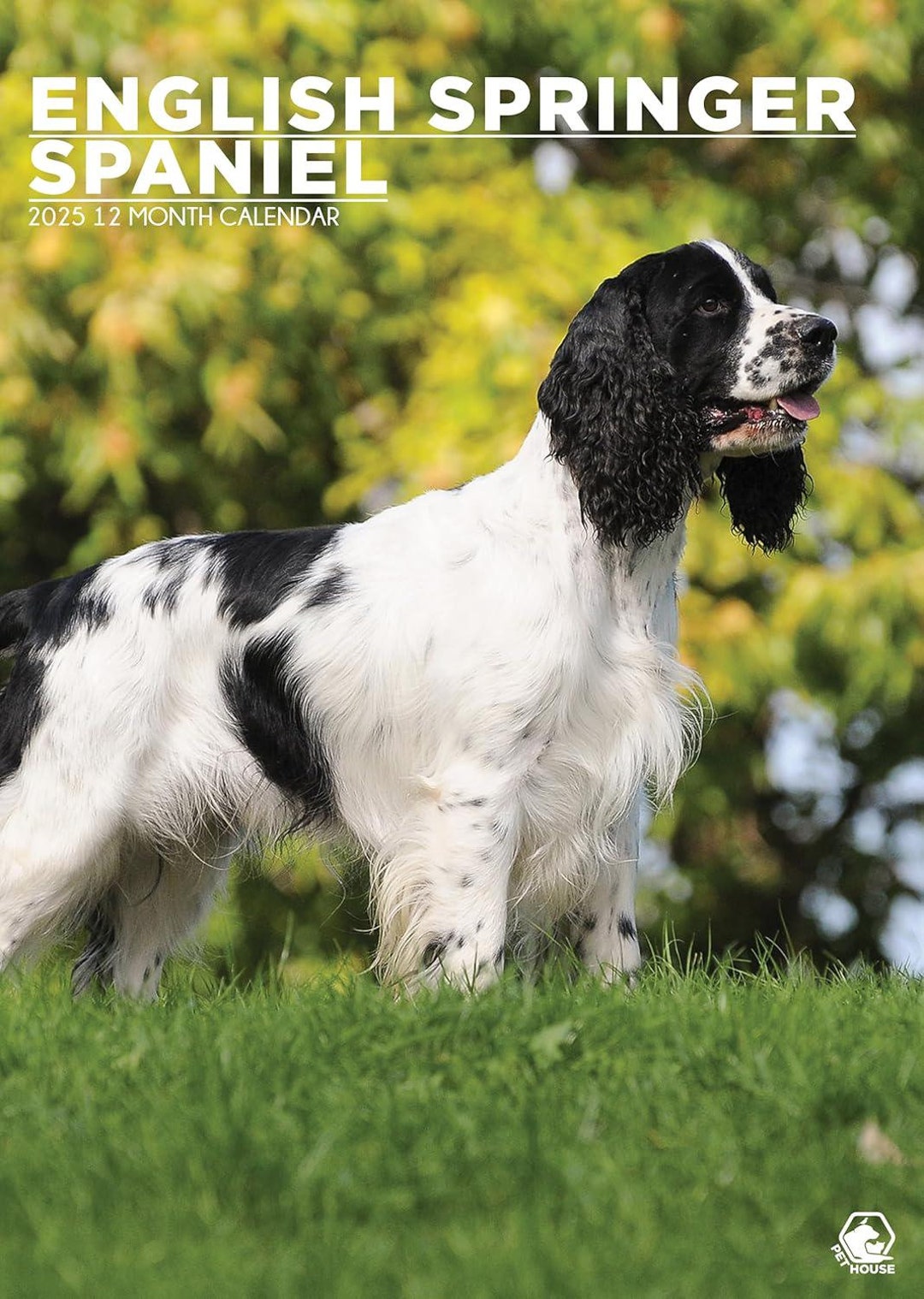 English Springer Spaniel 2025 Wall Calendar - Etsy UK