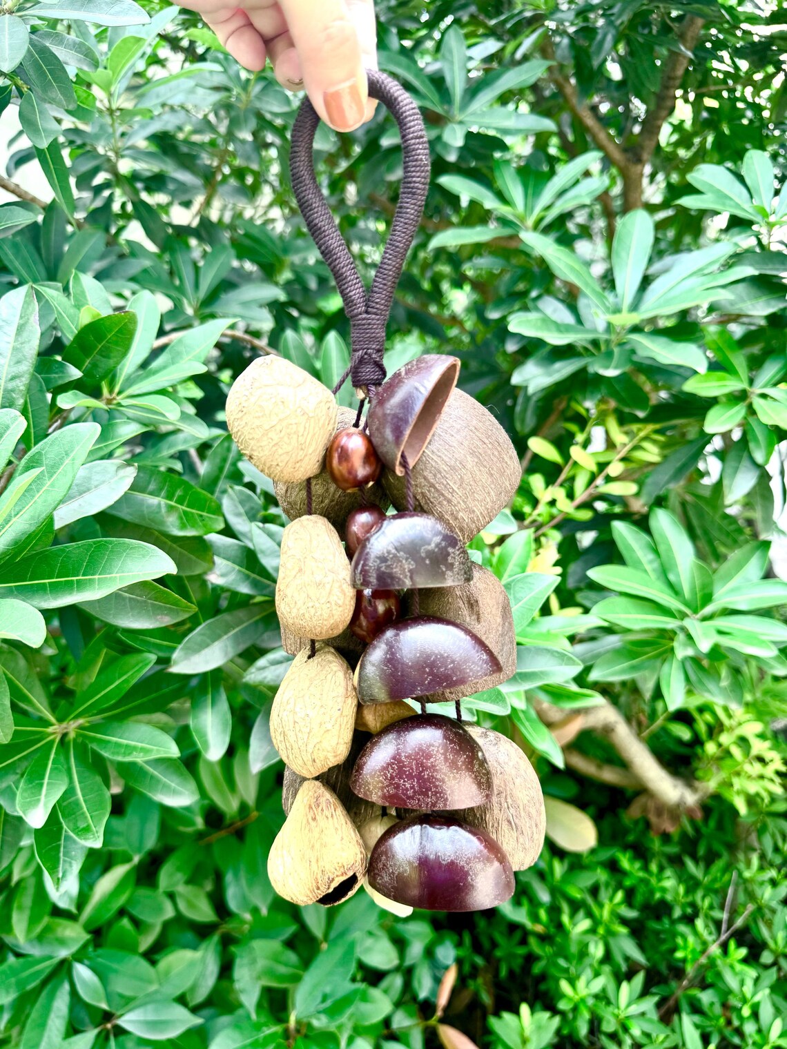Natural Hand Shaker With 23 Tropical Seeds | Sound Healing Accessory ...
