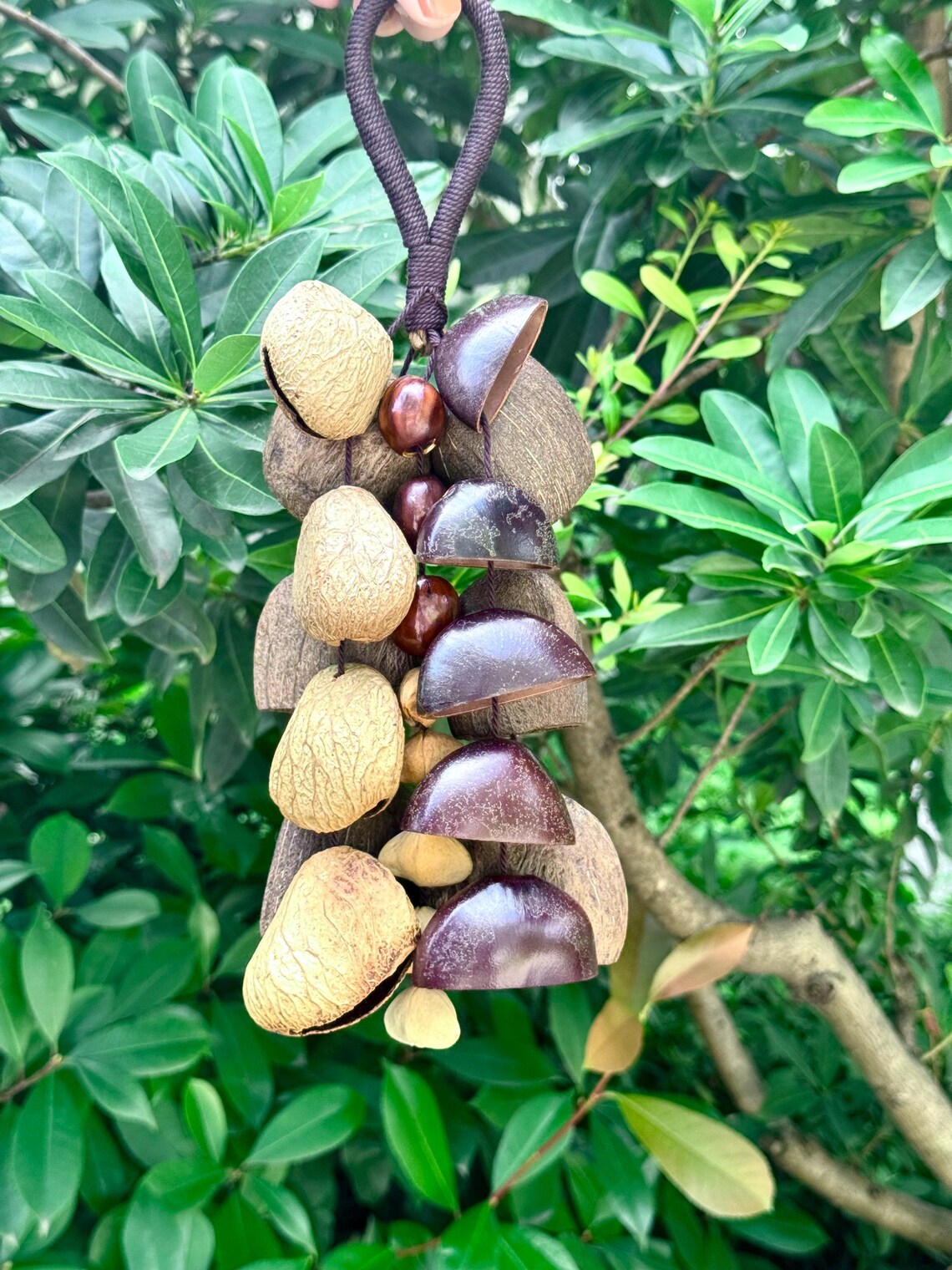 Natural Hand Shaker With 23 Tropical Seeds | Sound Healing Accessory ...
