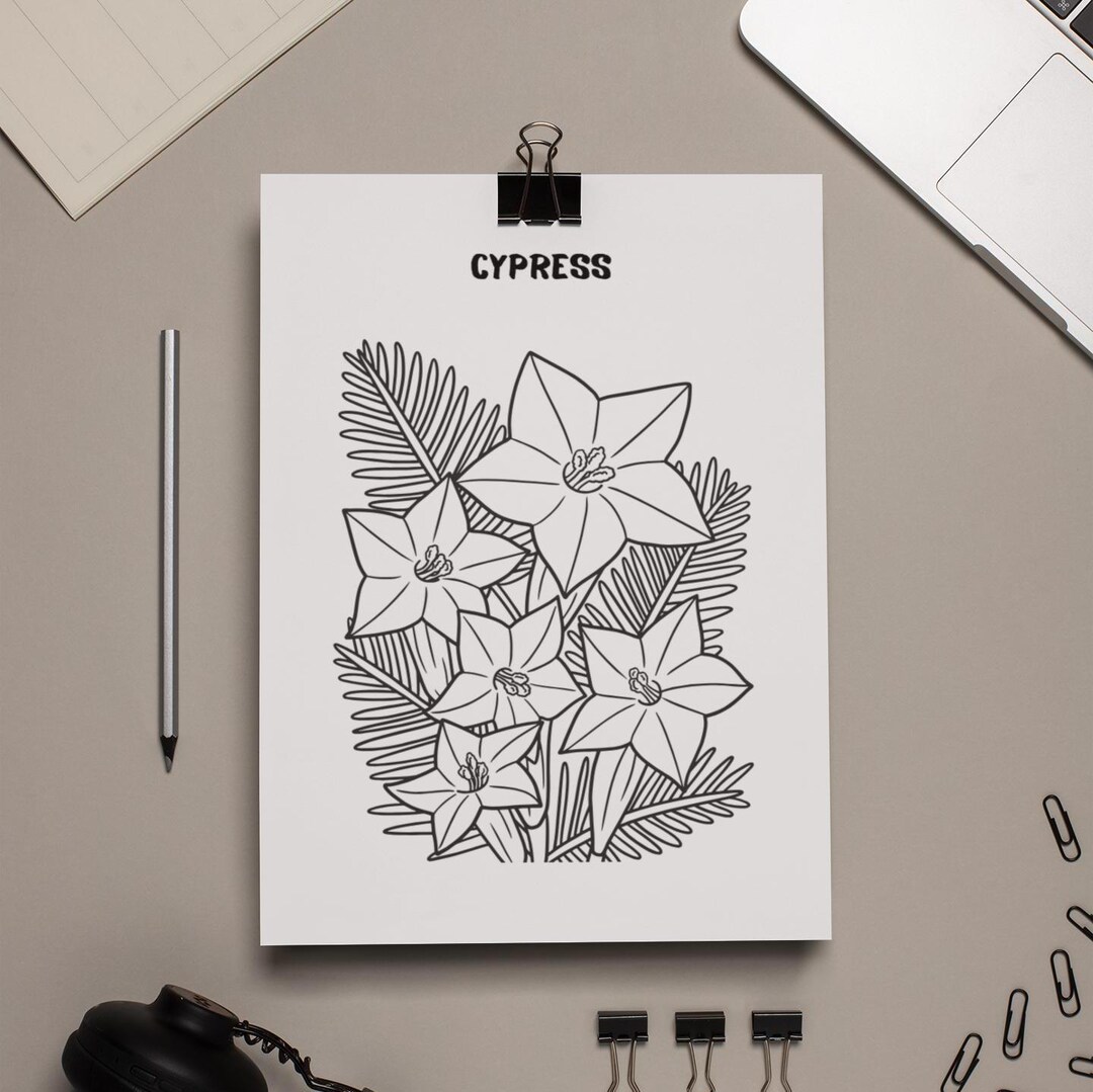 Printable Flower 46 Colouring Pages, Printable Flower Coloring Sheets ...