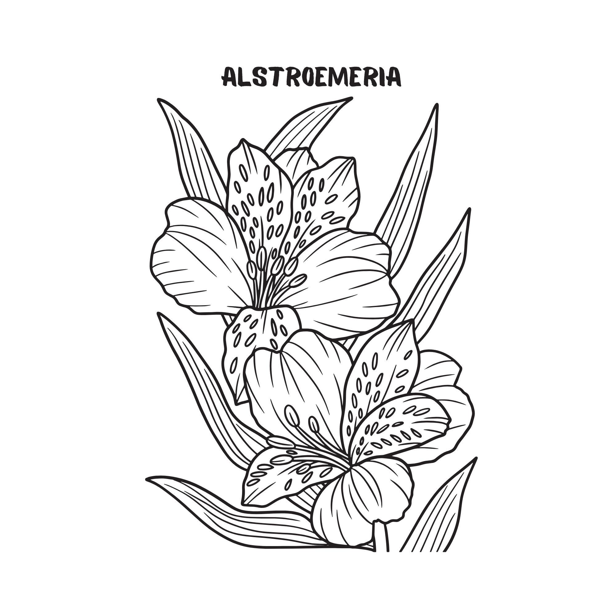 Printable Flower 46 Colouring Pages, Printable Flower Coloring Sheets ...
