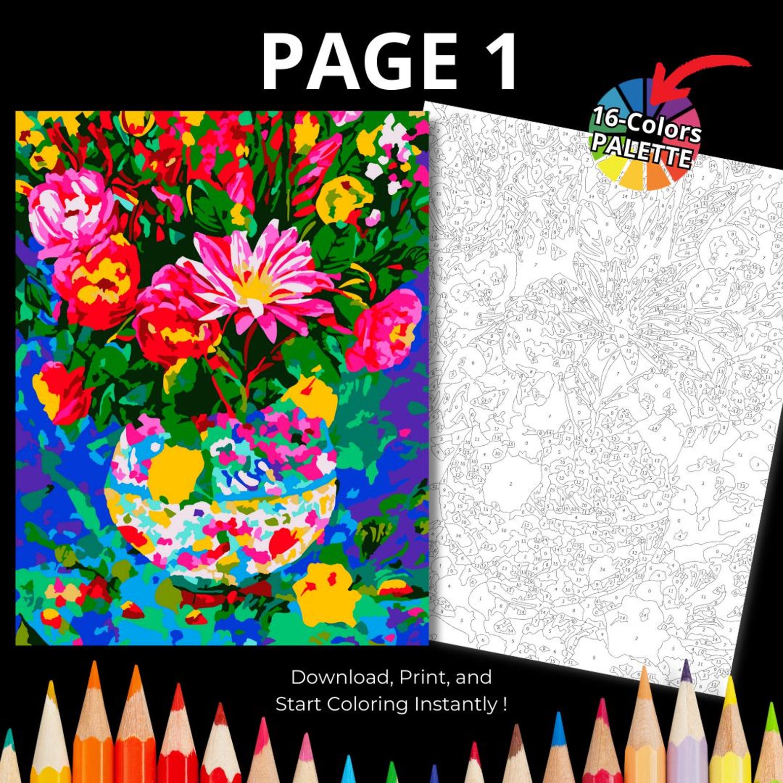 Color by Number. Coloriage Mystère. - Etsy
