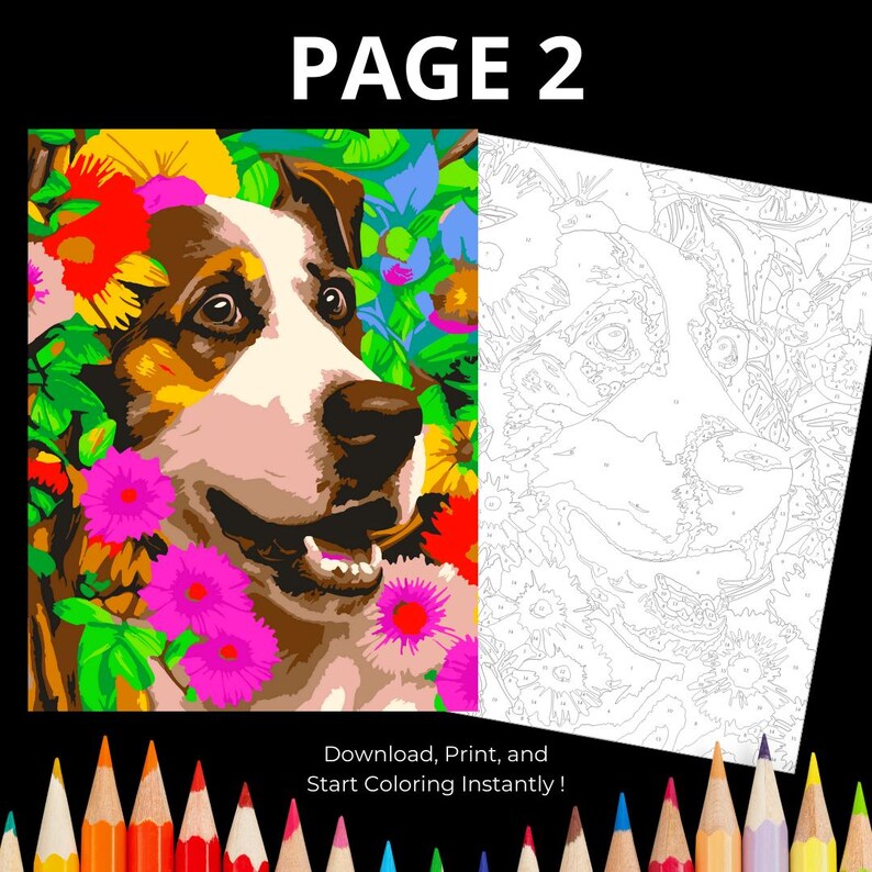 Color by Number. Coloriage Mystère. Coloriage Par Numéro. - Etsy