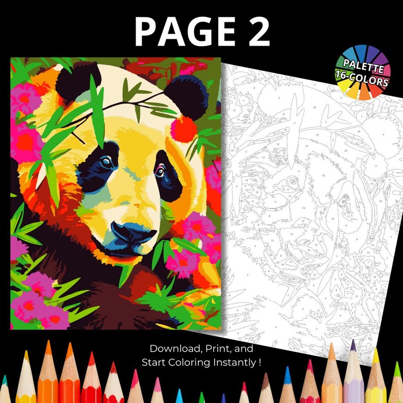 Color by Number Kit 3 Printable Pages Digital & Traditional Art Instant ...