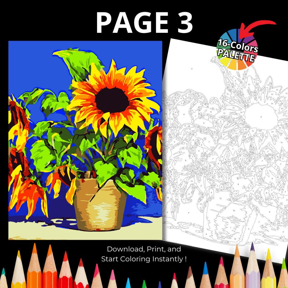 Color by Number Coloring Book – 3 Pages | Paint by Number PDF | Digital ...