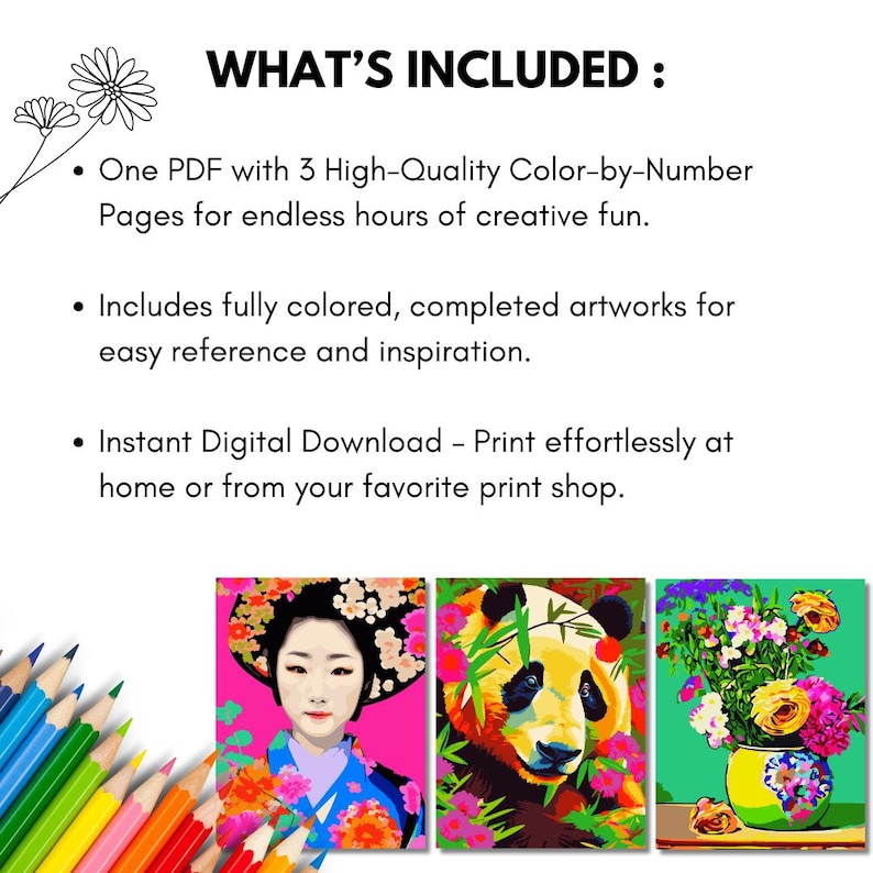 Color by Number Kit 3 Printable Pages Digital & Traditional Art Instant ...