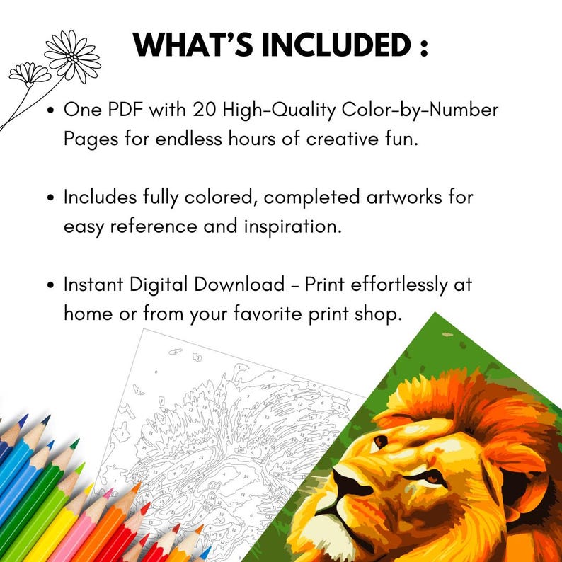 Wild Animals Color by Number: 20 Relaxing Pages (digital Download) - Etsy
