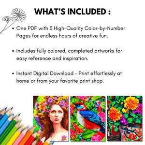 Color by Number. Coloriage Par Numéro - Etsy