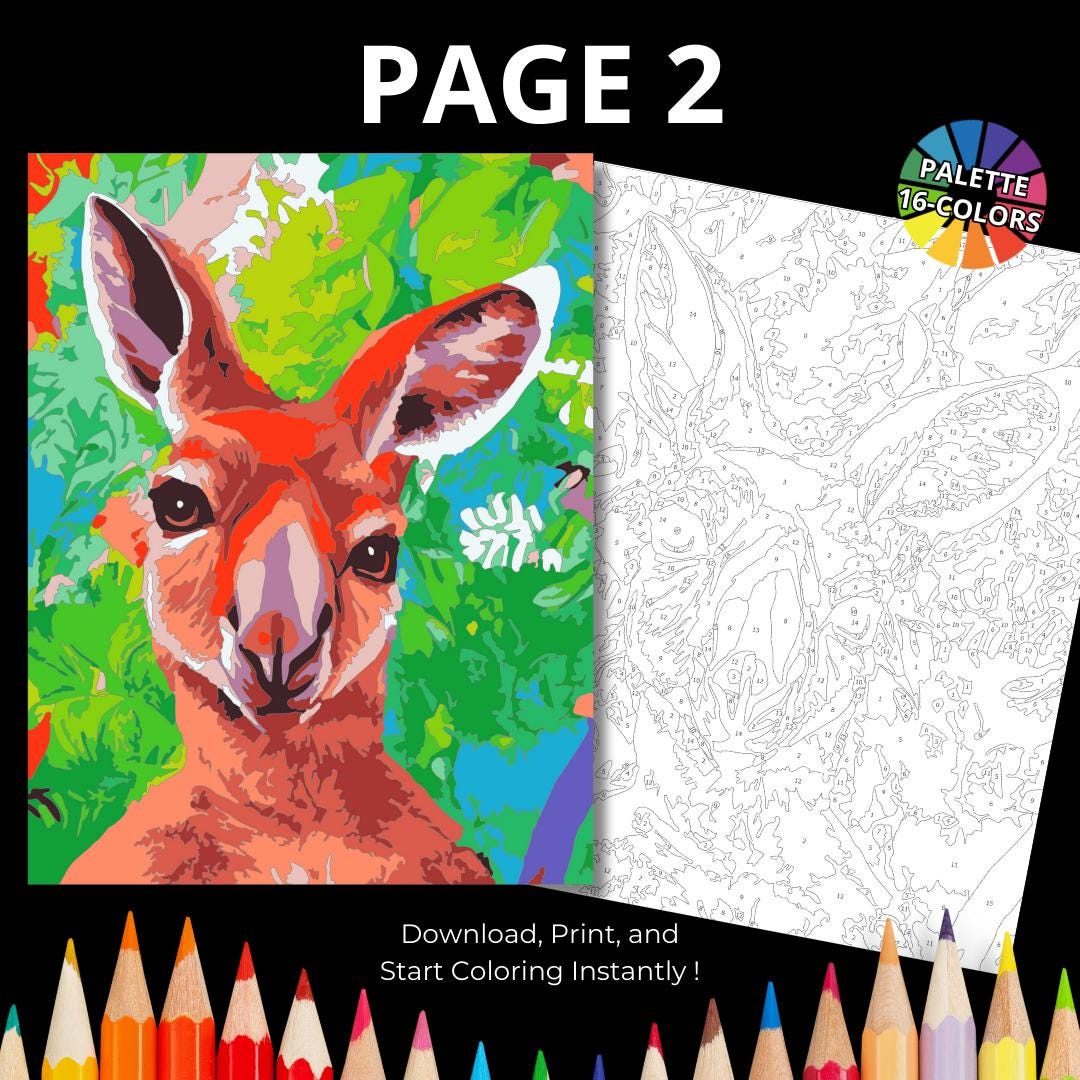 Color by Number PDF Set 3 Printable Pages Digital Coloring Paint by ...
