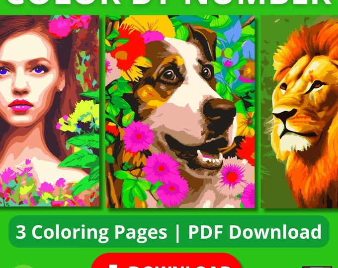 Adult Color by Number Pages | 10 Printable Designs (PDF) - Etsy Canada